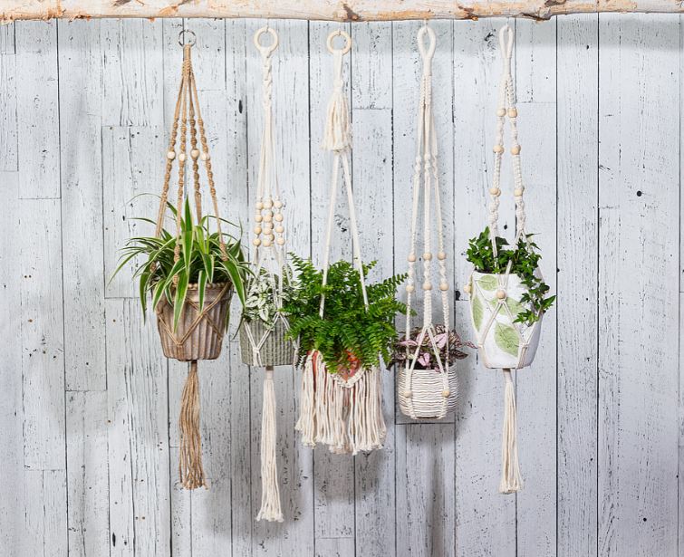 Hanging Planter – Mister Music